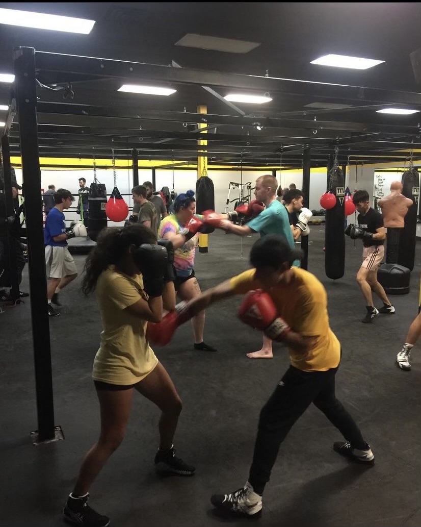 Photo Gallery | Iowa Boxing Club - The University of Iowa